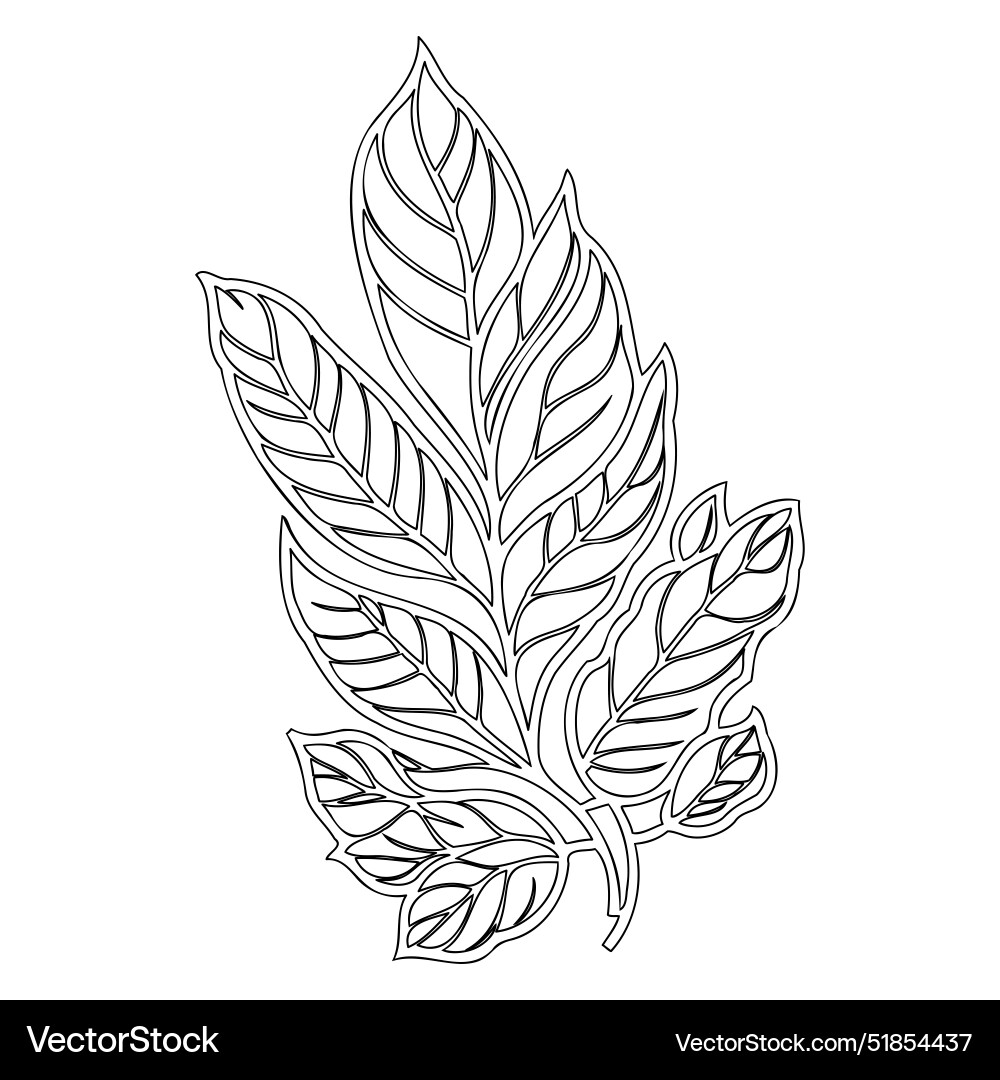 Lilac leaf floral outline sketch Royalty Free Vector Image