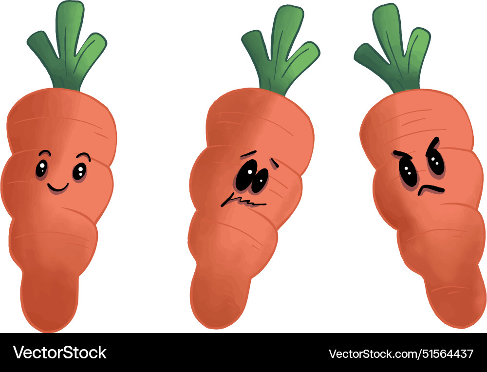 Three carrots Royalty Free Vector Image - VectorStock