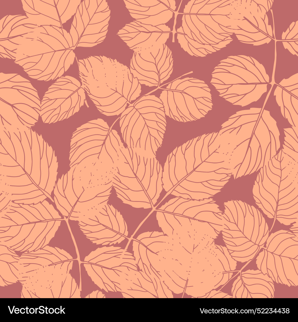 Detailed vintage style botanical artwork Vector Image