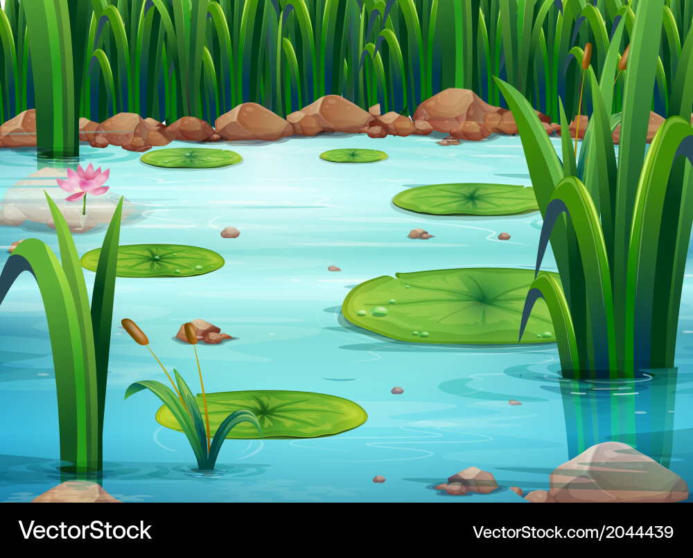 A pond with green plants Royalty Free Vector Image