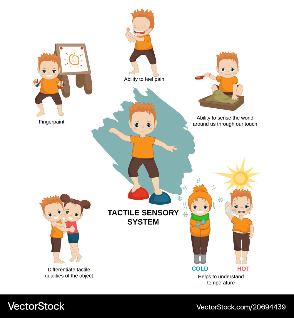 Human Touch & Sensory Perception Royalty Free Vector