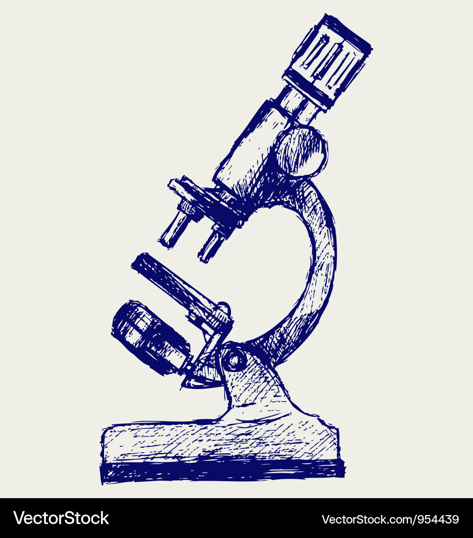 Microscope Sketch - Scientific Drawing Royalty Free Vector
