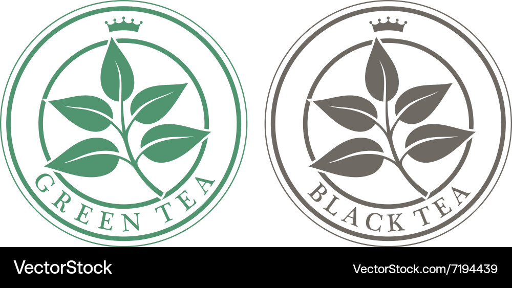 Tea Royalty Free Vector Image - VectorStock