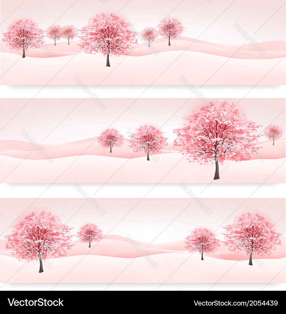 Three spring banners with blossoming sakura trees Vector Image