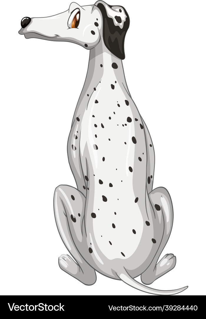 Dalmatian dog cartoon on white background Vector Image