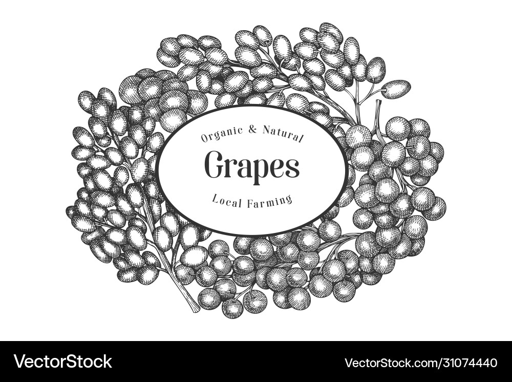 Grape design template hand drawn berry Royalty Free Vector
