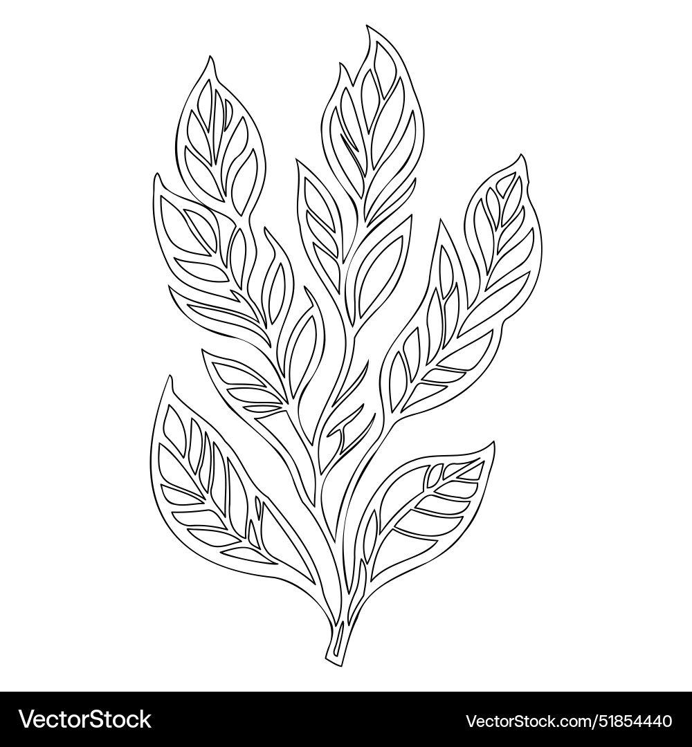 Lilac leaf floral outline sketch Royalty Free Vector Image