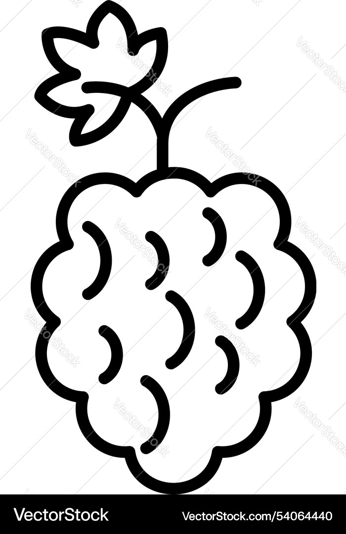 Raspberries line icon design Royalty Free Vector Image