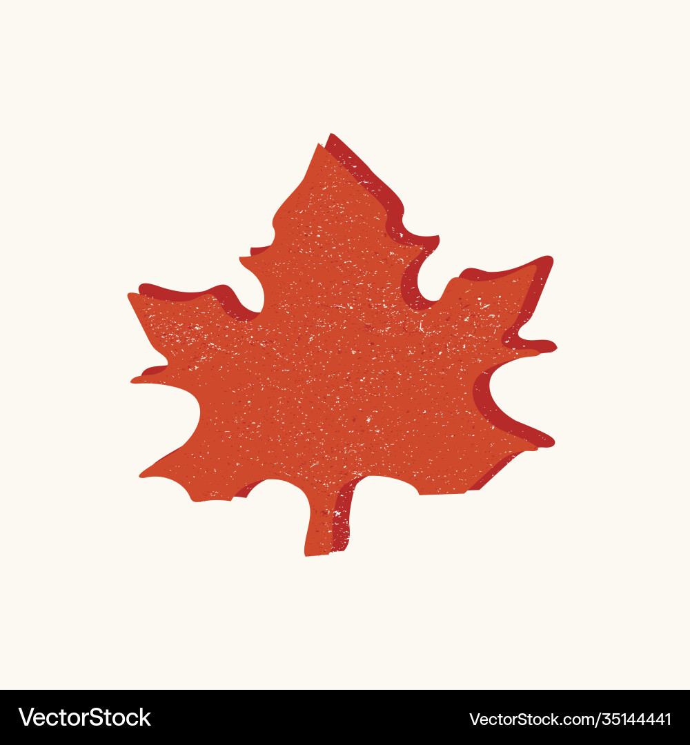 Hand drawn leaf Royalty Free Vector Image - VectorStock