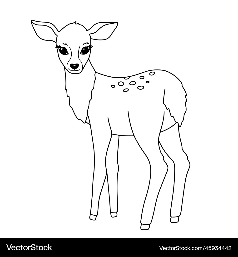 Cute line fawn outline Royalty Free Vector Image