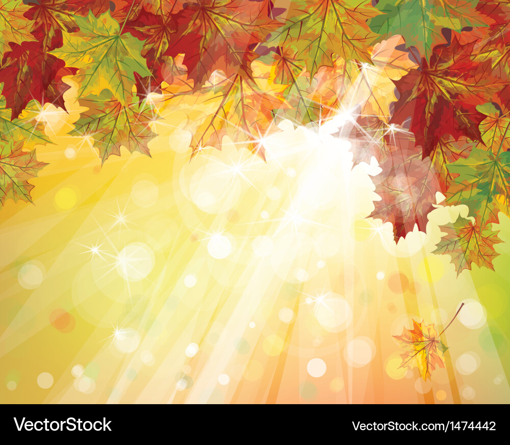 Fall Royalty Free Vector Image - VectorStock