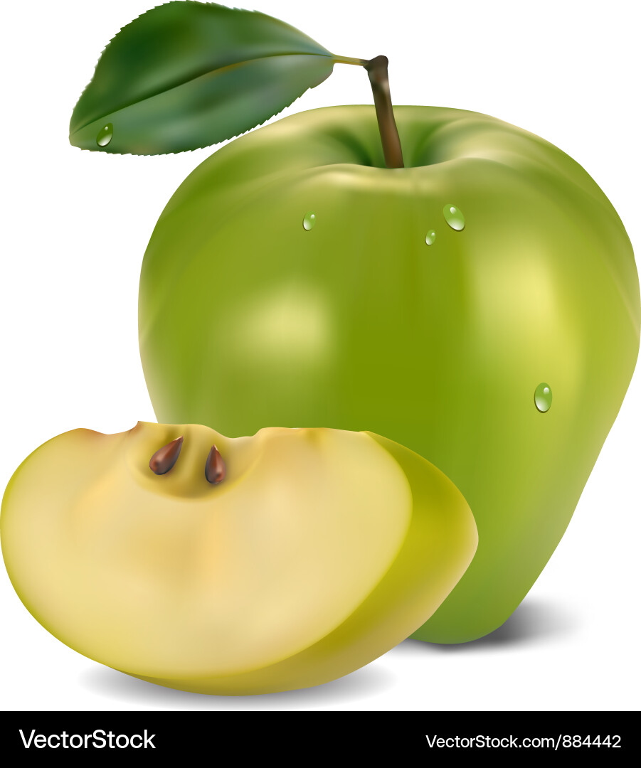 Fresh green apple Royalty Free Vector Image - VectorStock