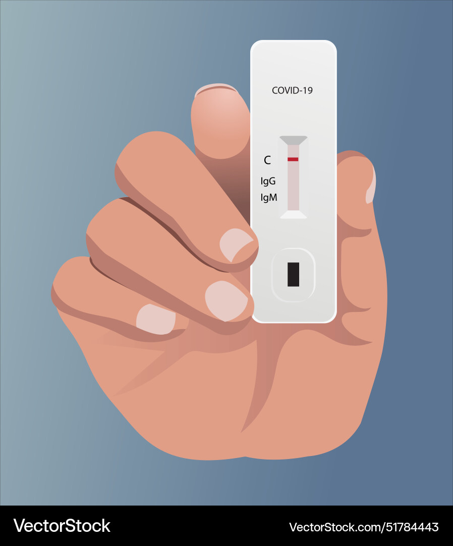 Hand holding antigen test kit Royalty Free Vector Image