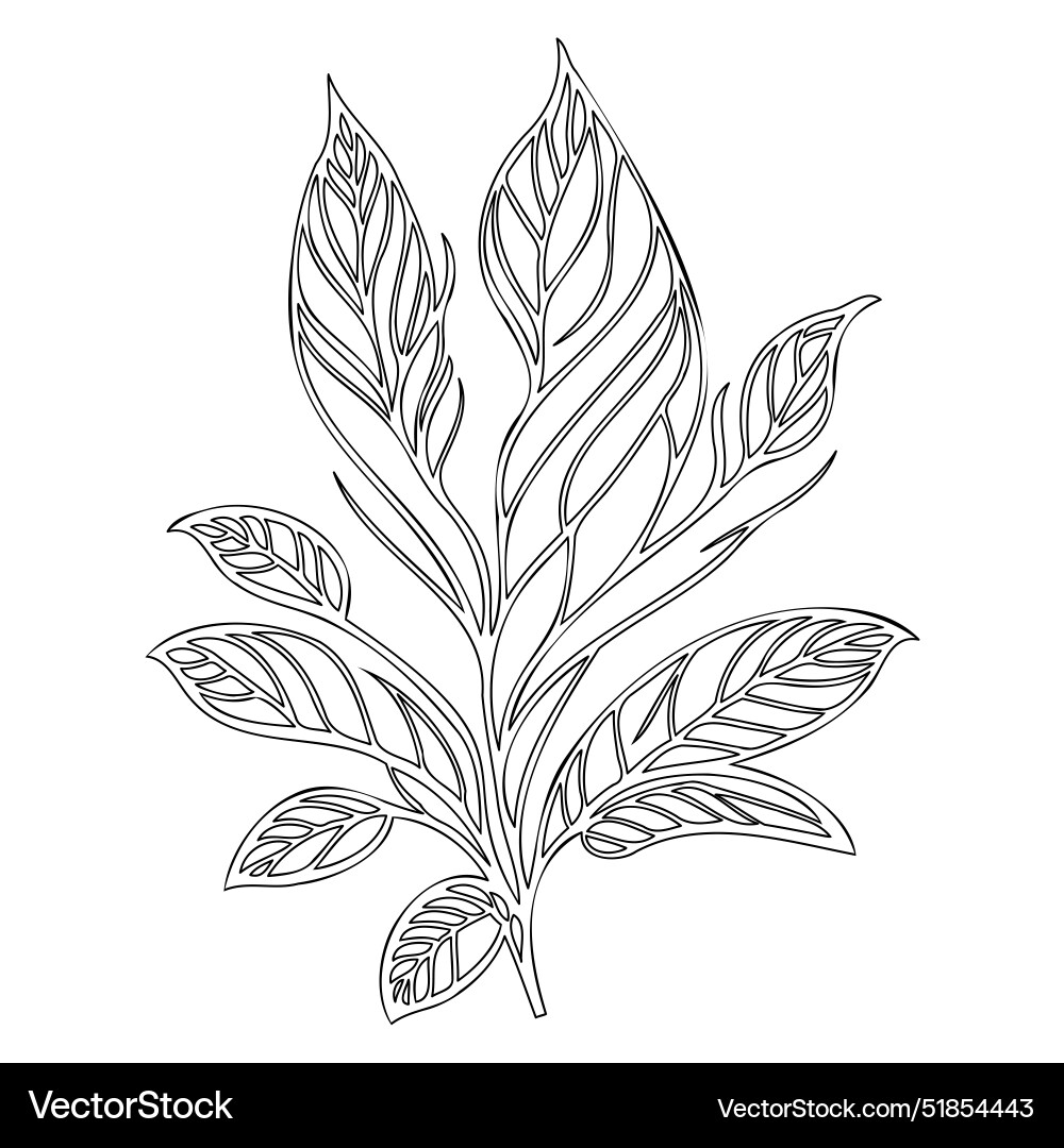 Lilac leaf floral outline sketch Royalty Free Vector Image