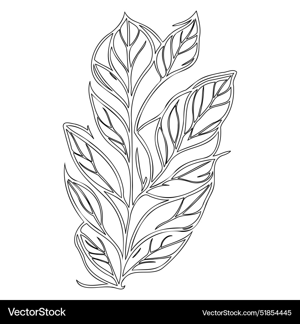 Lilac leaf floral outline sketch Royalty Free Vector Image