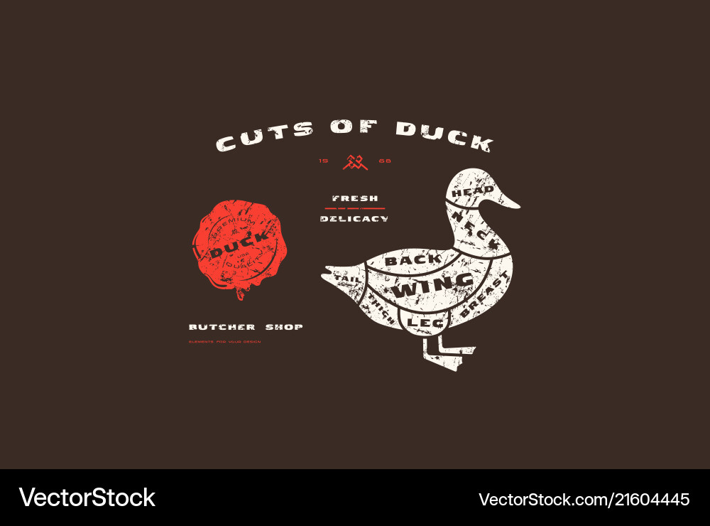 Stock duck cuts diagram in flat style Royalty Free Vector