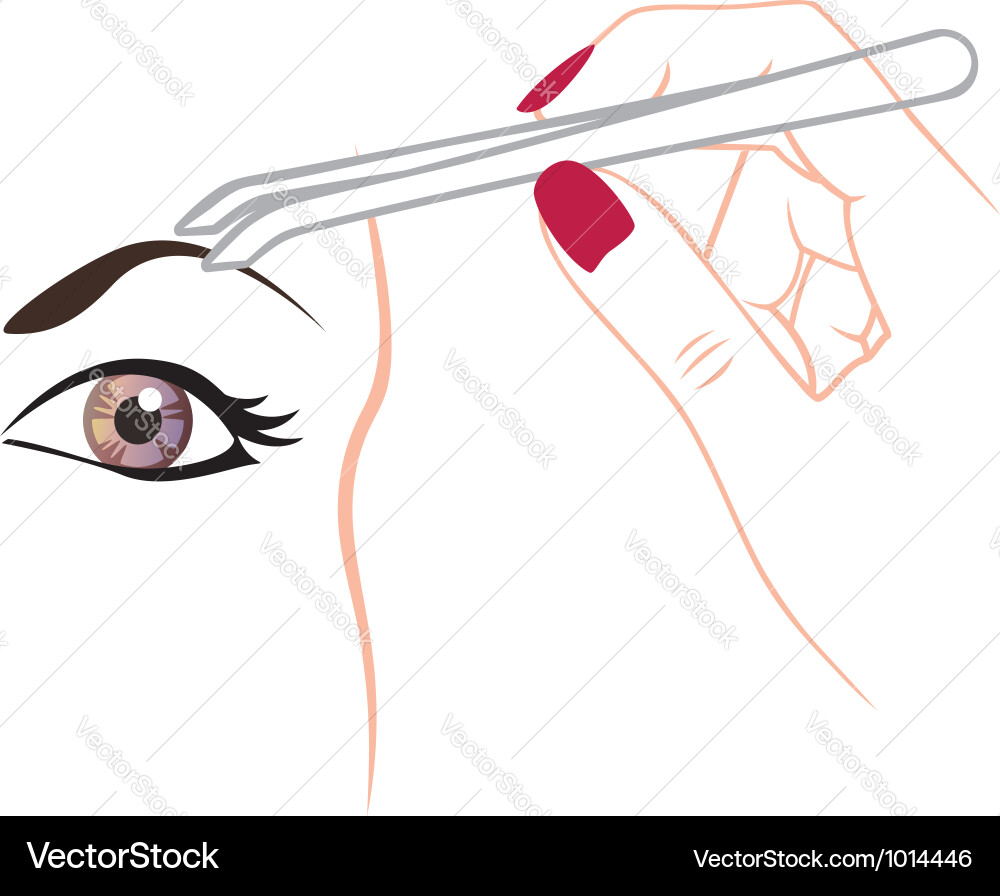 Curling eyebrows Royalty Free Vector Image - VectorStock
