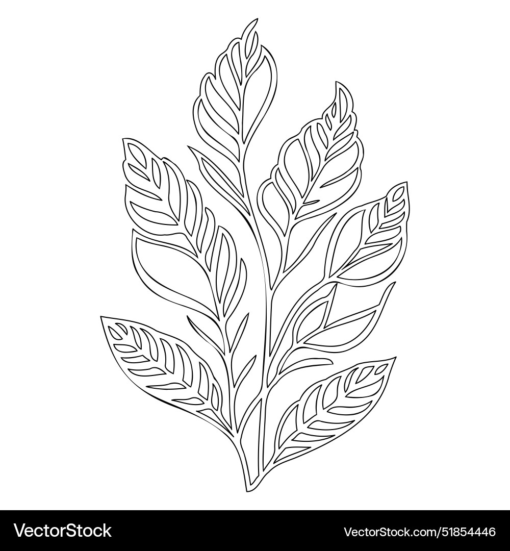 Lilac leaf floral outline sketch Royalty Free Vector Image