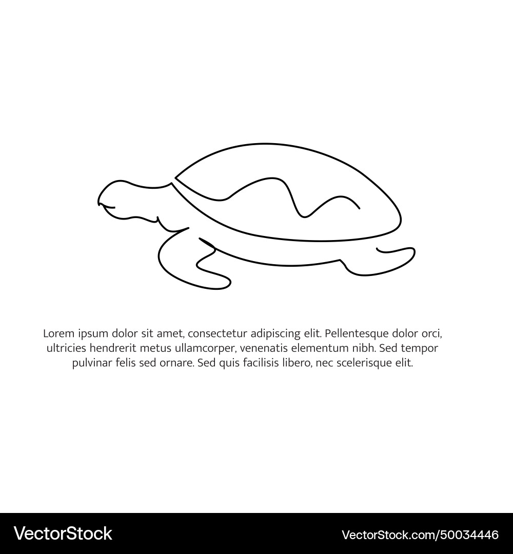 One Line Turtle Vector Images (over 200)