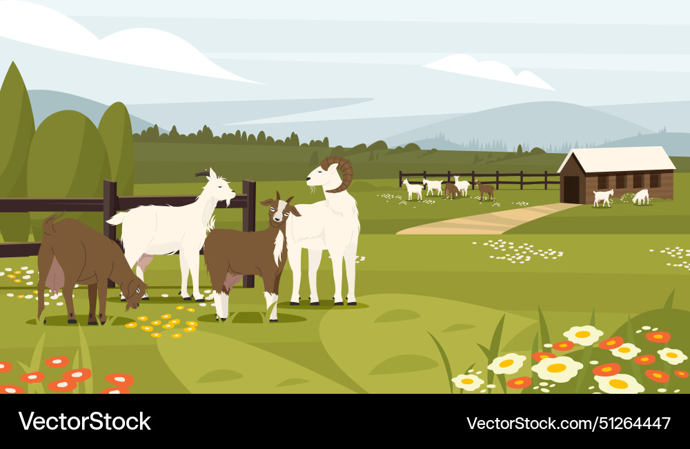 Goat farm with dairy animals cottage Royalty Free Vector