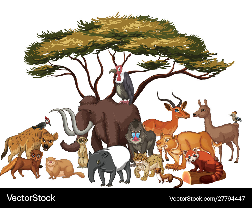 Isolated picture many animals under tree Vector Image
