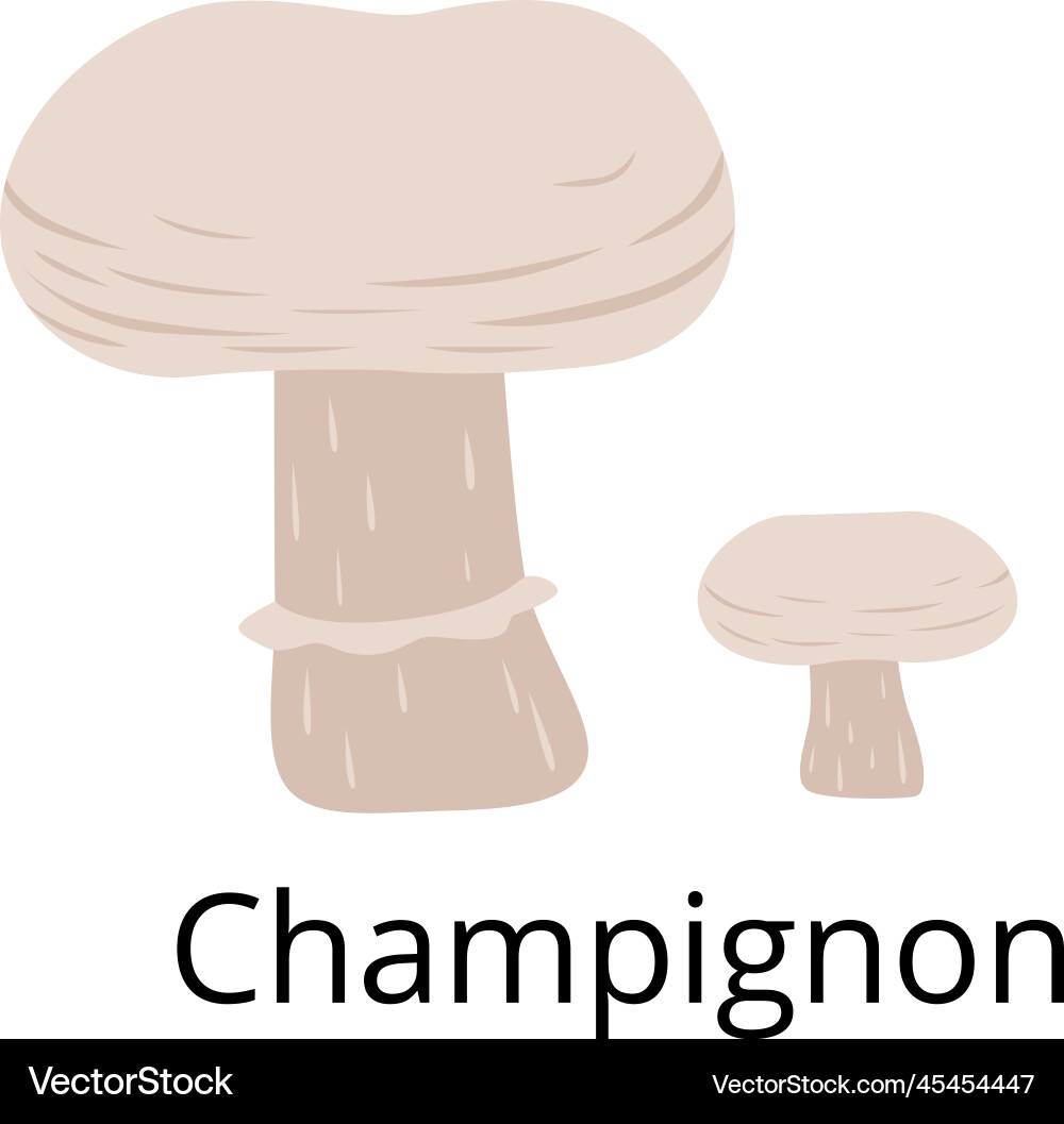 Mushroom Ikone champignon Symbol bio essbar Vektorbild