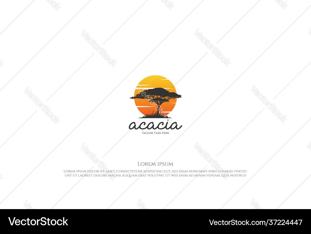 Sunset sunrise african acacia tree forest logo Vector Image
