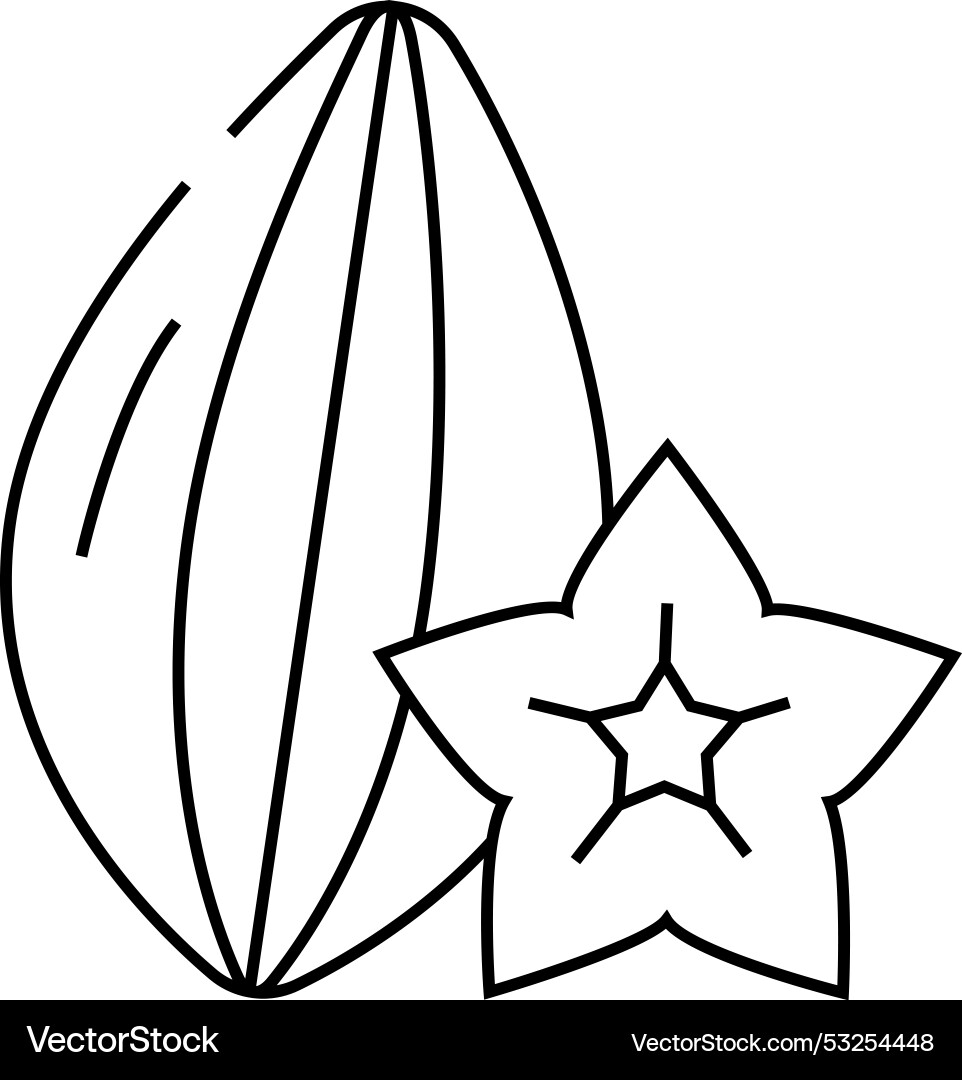 Star fruit line icon Royalty Free Vector Image