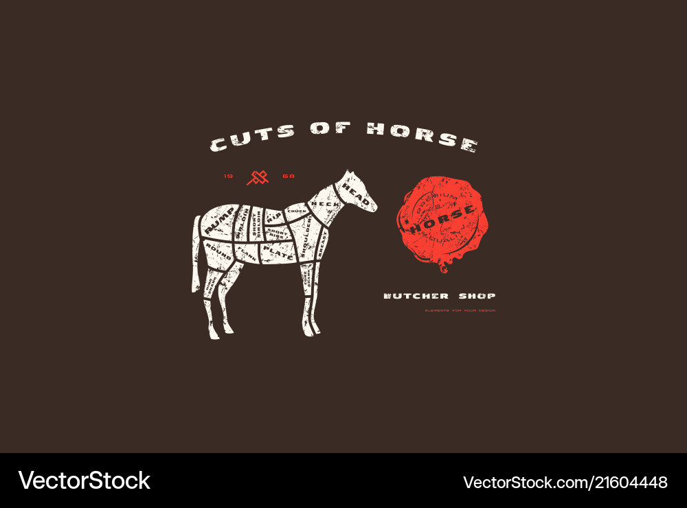 Stock horse cuts diagram in flat style Royalty Free Vector