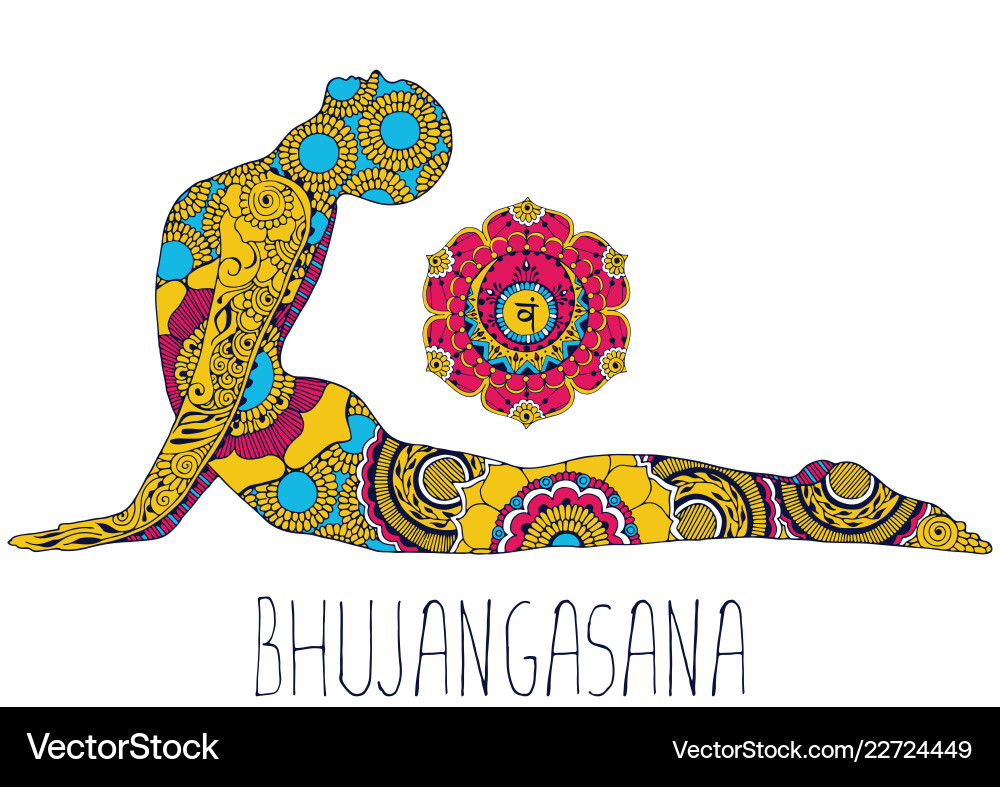 Cobra Pose - Bhujangasana Royalty Free Vector Image