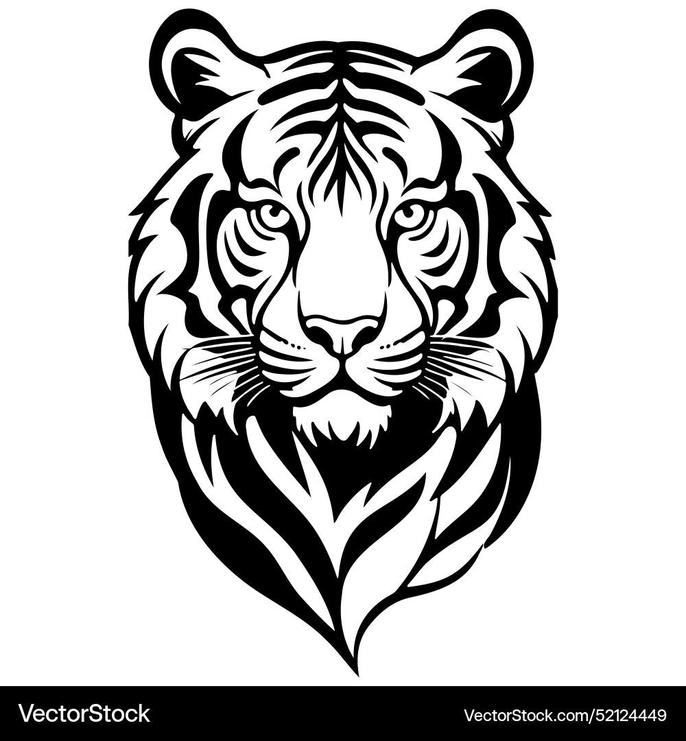 Drawing tiger realistic outline line Royalty Free Vector