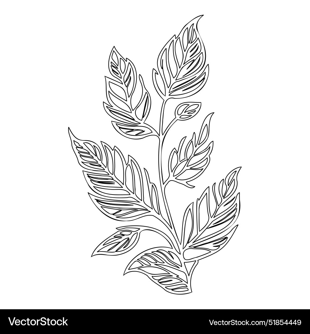 Lilac leaf floral outline sketch Royalty Free Vector Image