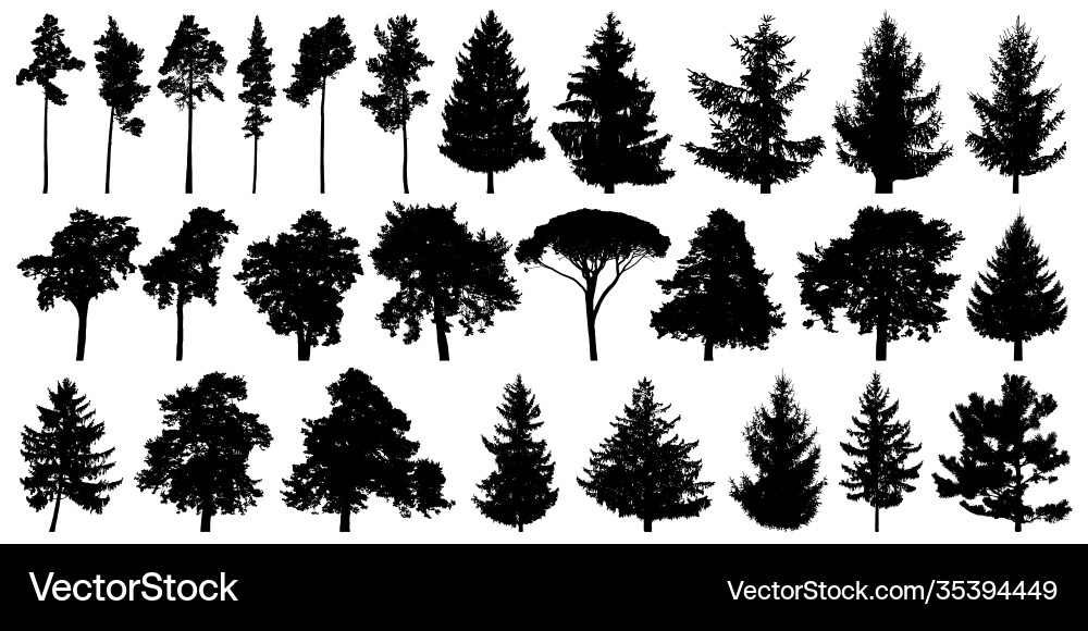 Trees set isolated on white background forest Vector Image