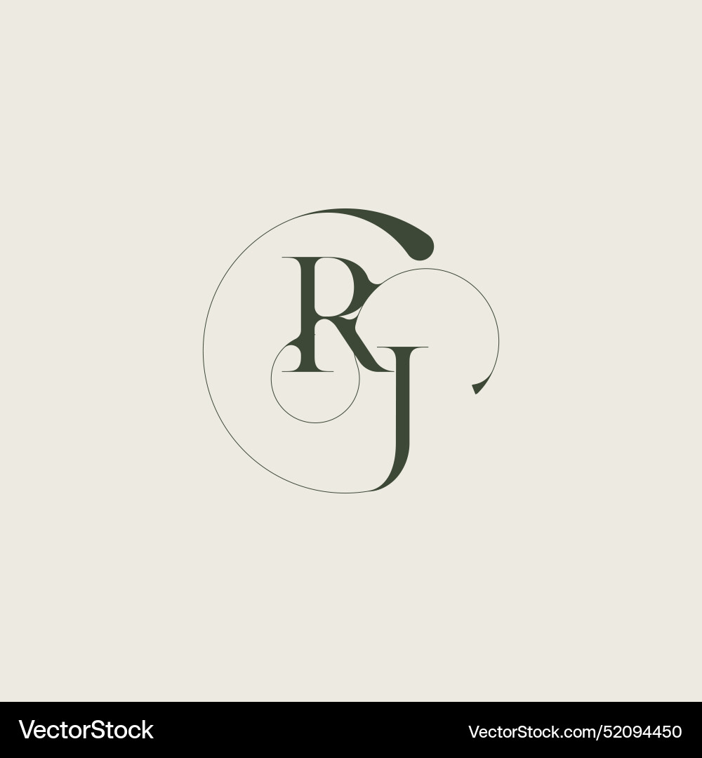 Beautiful monogram initial elegant line concept Vector Image