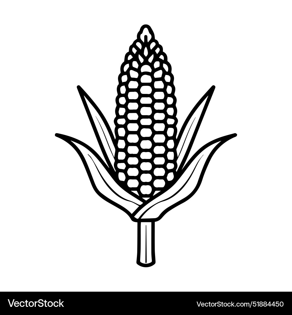 Corn icon or modern line symbol art Royalty Free Vector