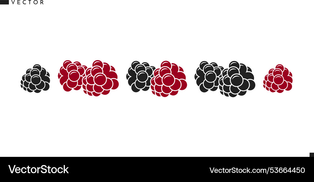 Raspberry and blackberry icon set Royalty Free Vector Image