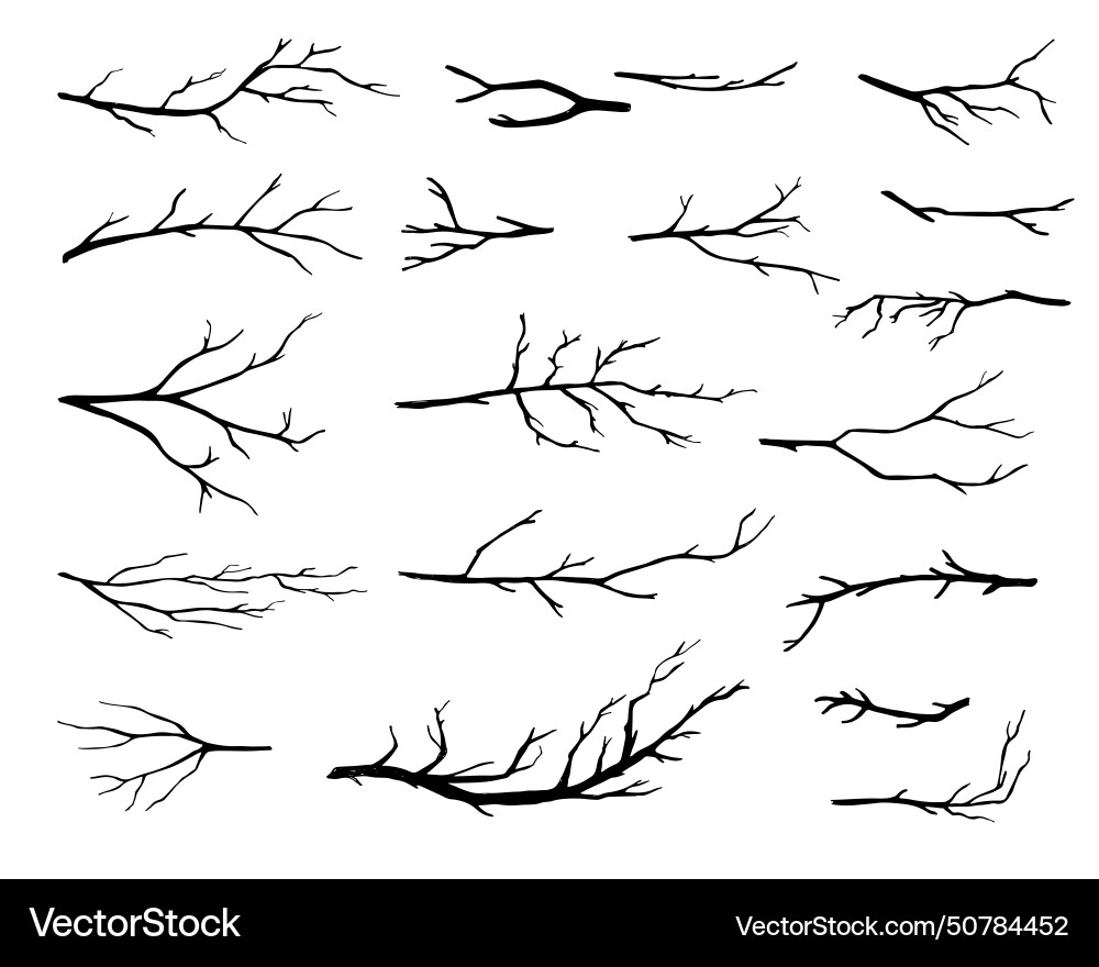 Hand drawn tree branches collection dry Royalty Free Vector