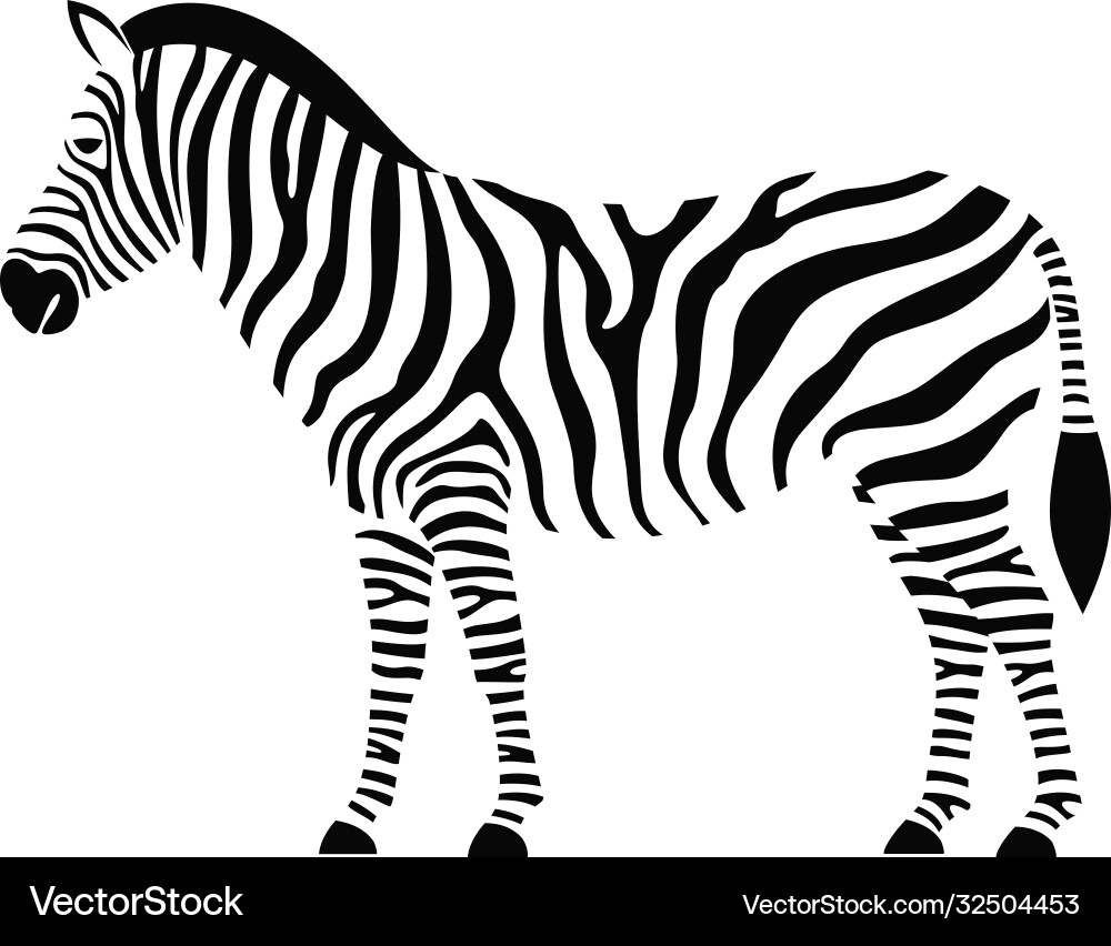 Zebra Royalty Free Vector Image - VectorStock