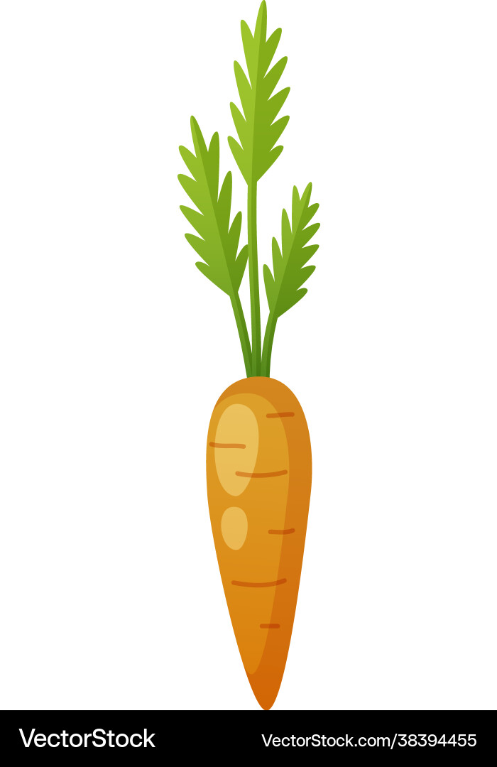 Cartoon Carrot Icon Royalty Free Vector Image - VectorStock