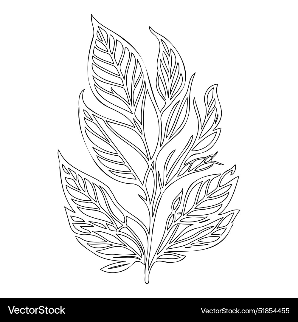 Lilac leaf floral outline sketch Royalty Free Vector Image
