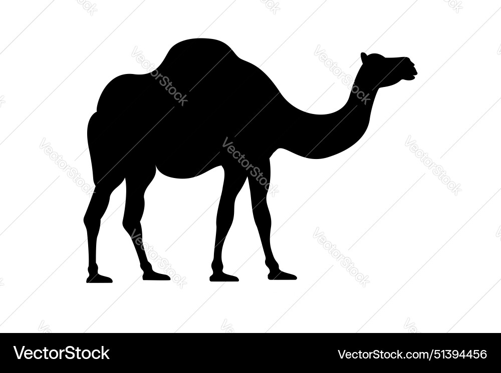 Camel silhouette Royalty Free Vector Image - VectorStock