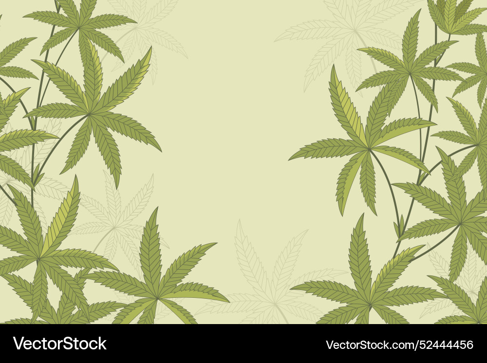 Cannabis leaves background Royalty Free Vector Image