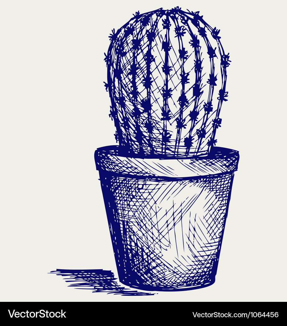 Stylized Cactus Sketch Royalty Free Vector Image