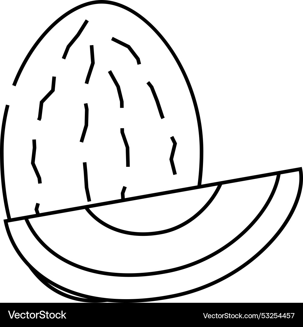 Melon fruit line icon Royalty Free Vector Image
