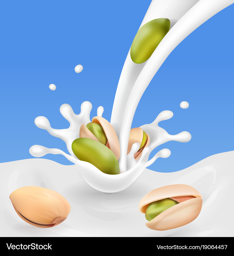 Pistachio in milk flow ice cream splash realistic Vector Image