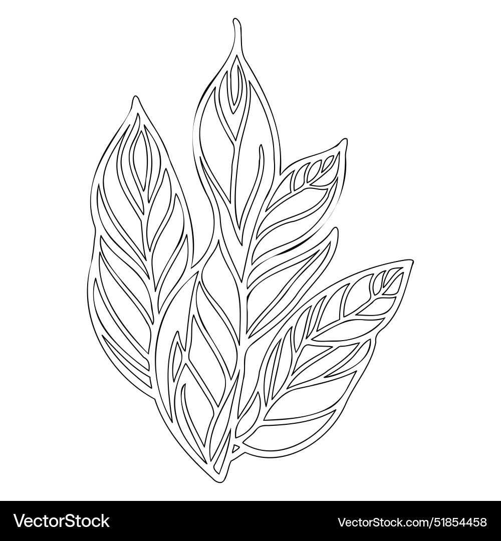 Lilac leaf floral outline sketch Royalty Free Vector Image