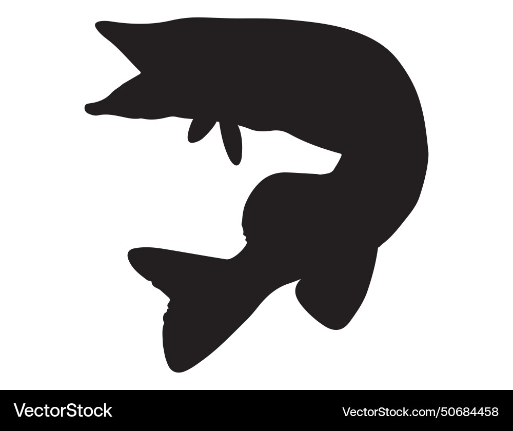 Northern pike fish silhouette art Royalty Free Vector Image