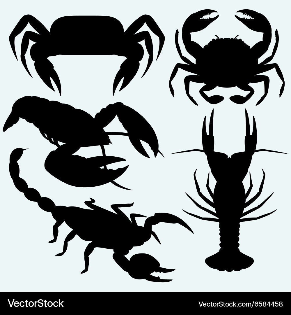 Set crustaceans Royalty Free Vector Image - VectorStock