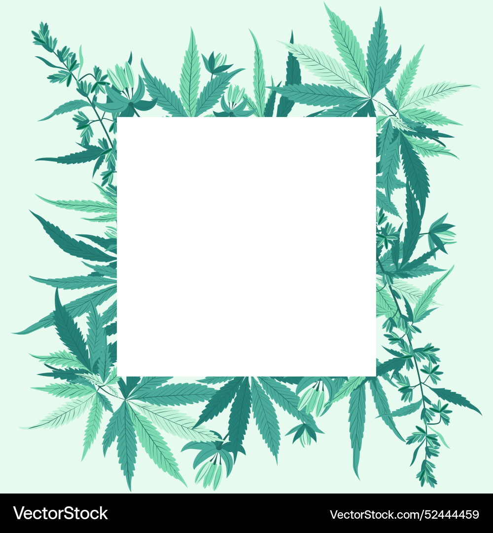 Botanical cannabis leaves background Royalty Free Vector