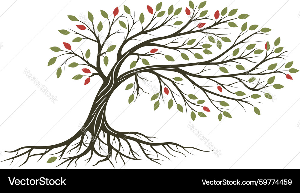 Fruit-bearing tree with visible roots design Vector Image
